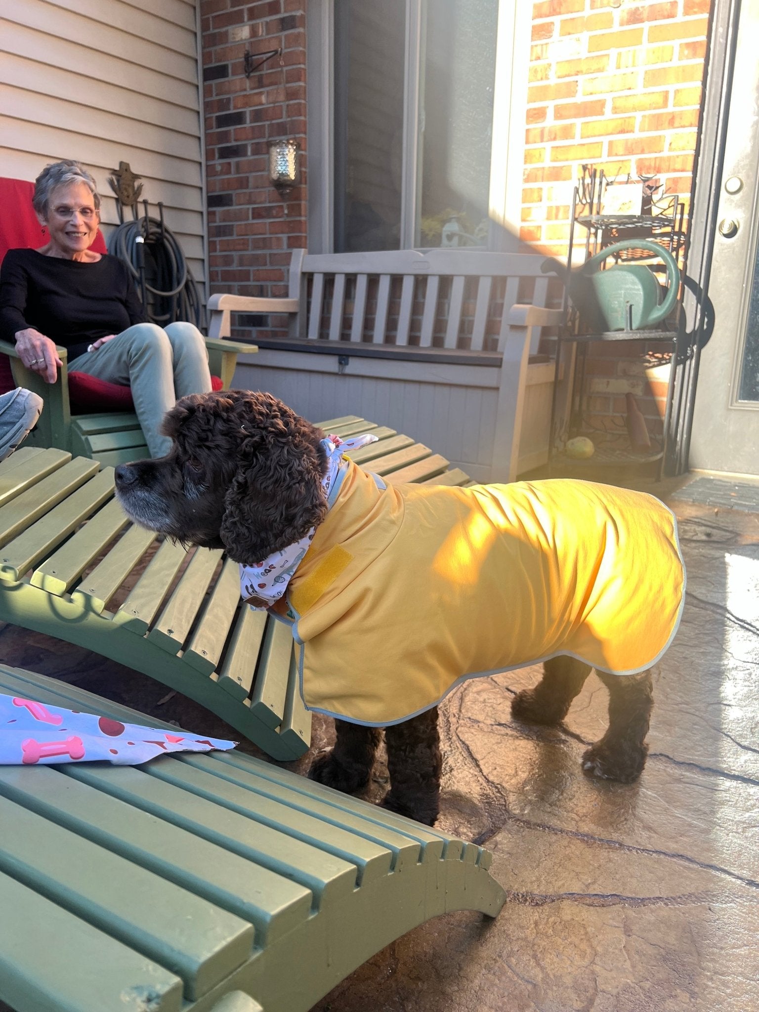 Why Microfiber Towels Are a Game-Changer for Dog Bathing?